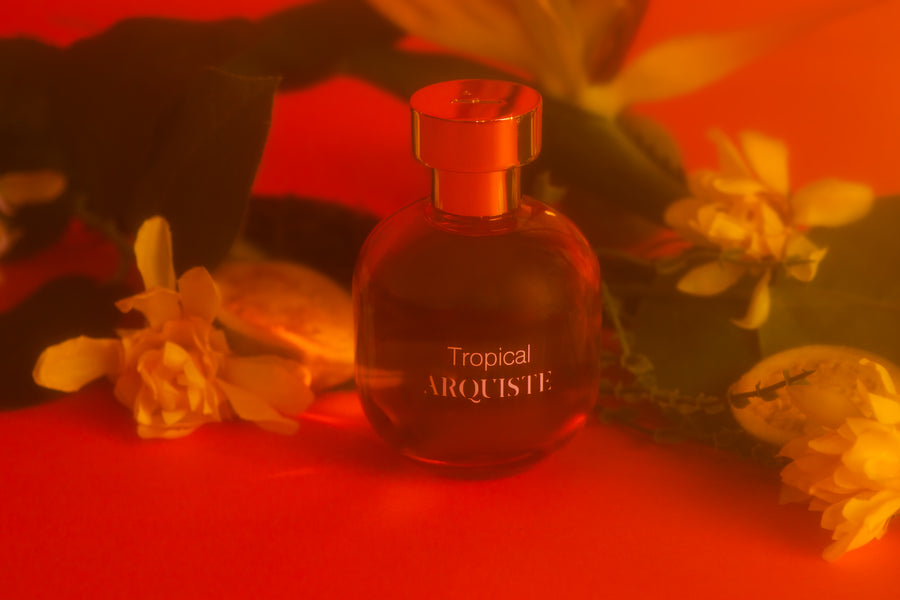 ARQUISTE Parfumeur | Evocative Fragrances & Candles